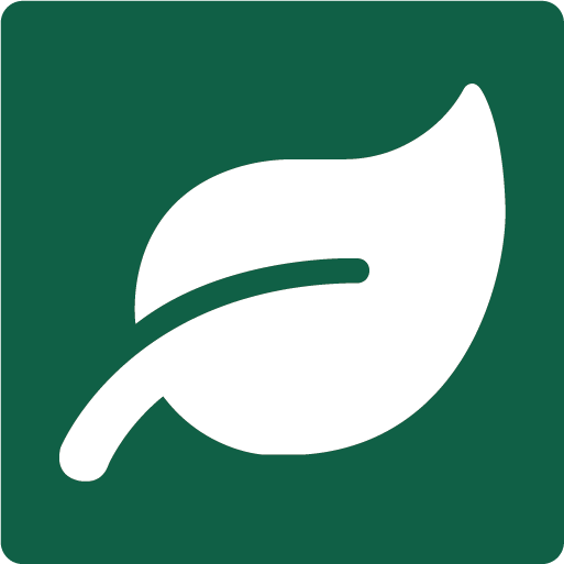 Leaf IoT - Desarrollo de software, Análisis de datos y Automatización